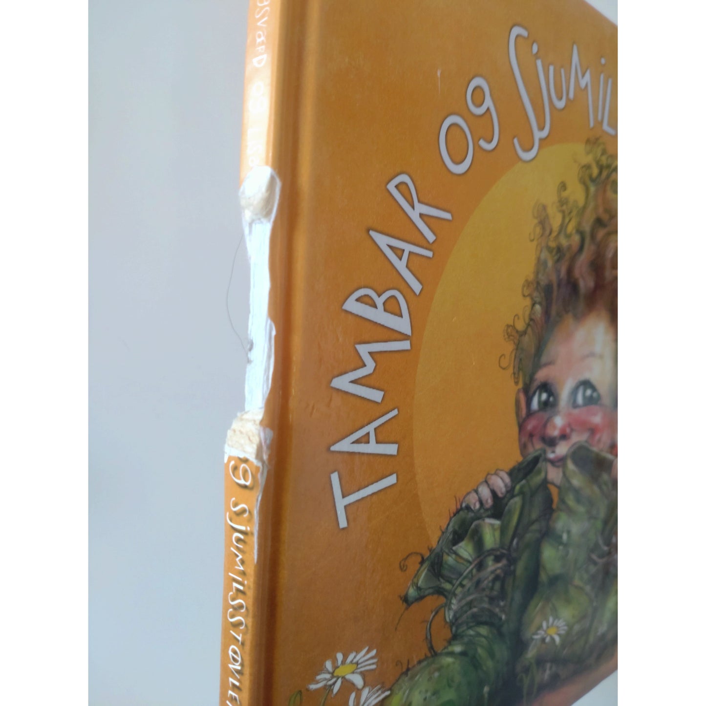 Tambar og sjumilsstøvlene, brukte bøker av Tor Åge Bringsværd og Lisa ...