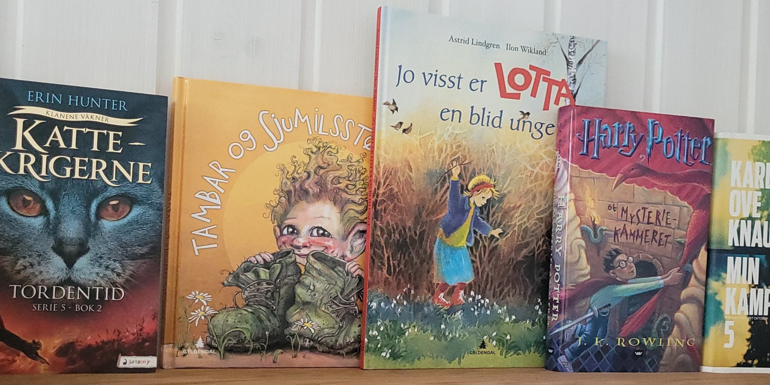Bokhandel - brukte bøker, barnebøker. Stort utvalg. – Inventaret