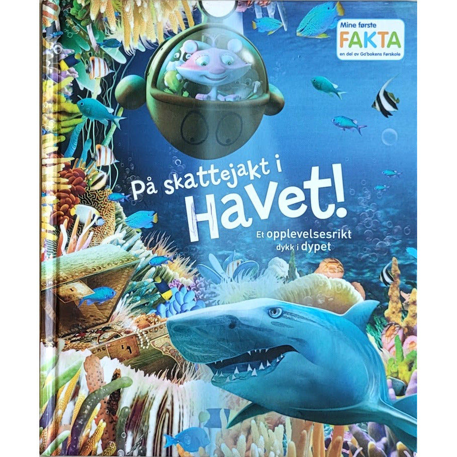 På skattejakt i havet, brukte bøker – Inventaret